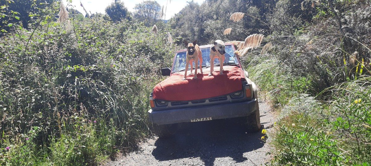 Owhango – 42nd Traverse – Tongariro – Mark Walks for Life